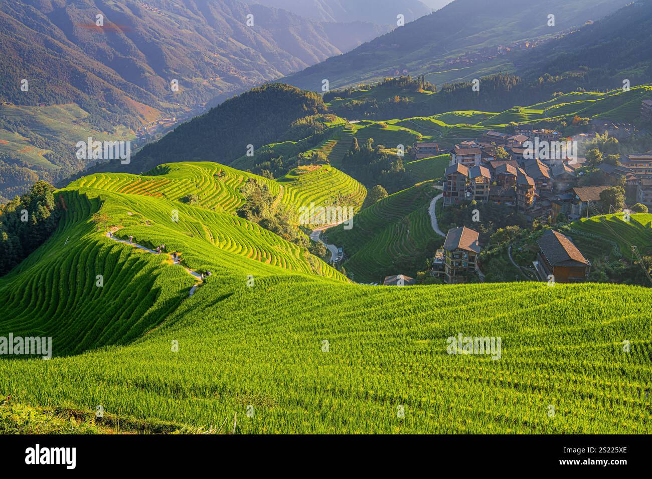 Yaoshan Mountain, Guilin, China hillside rice terraces landscape ...