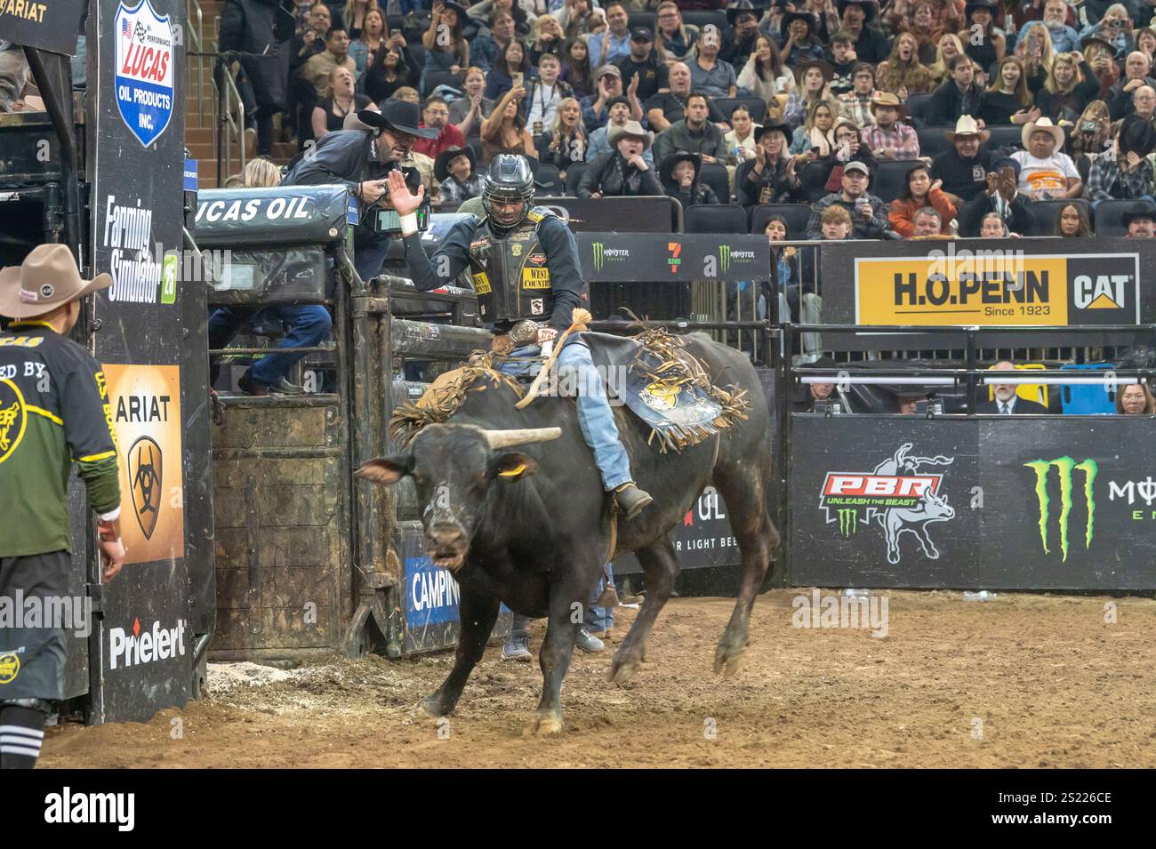 NEW YORK, NEW YORK - JANUARY 05: Sandro Batista rides Say When during ...