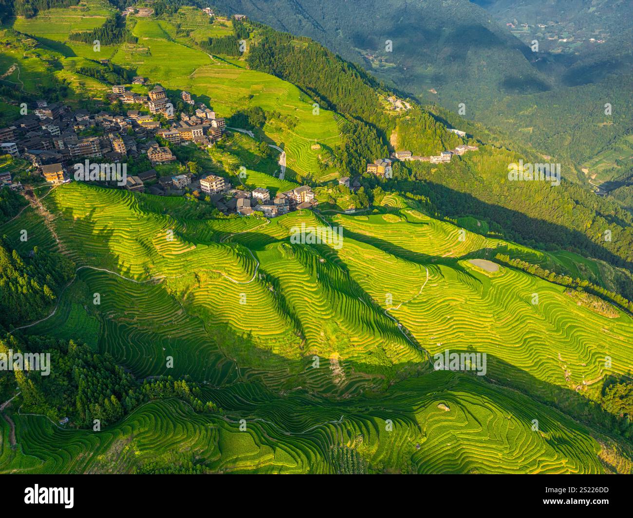 Aerial drone image of the beautiful formation of paddy terrace at ...