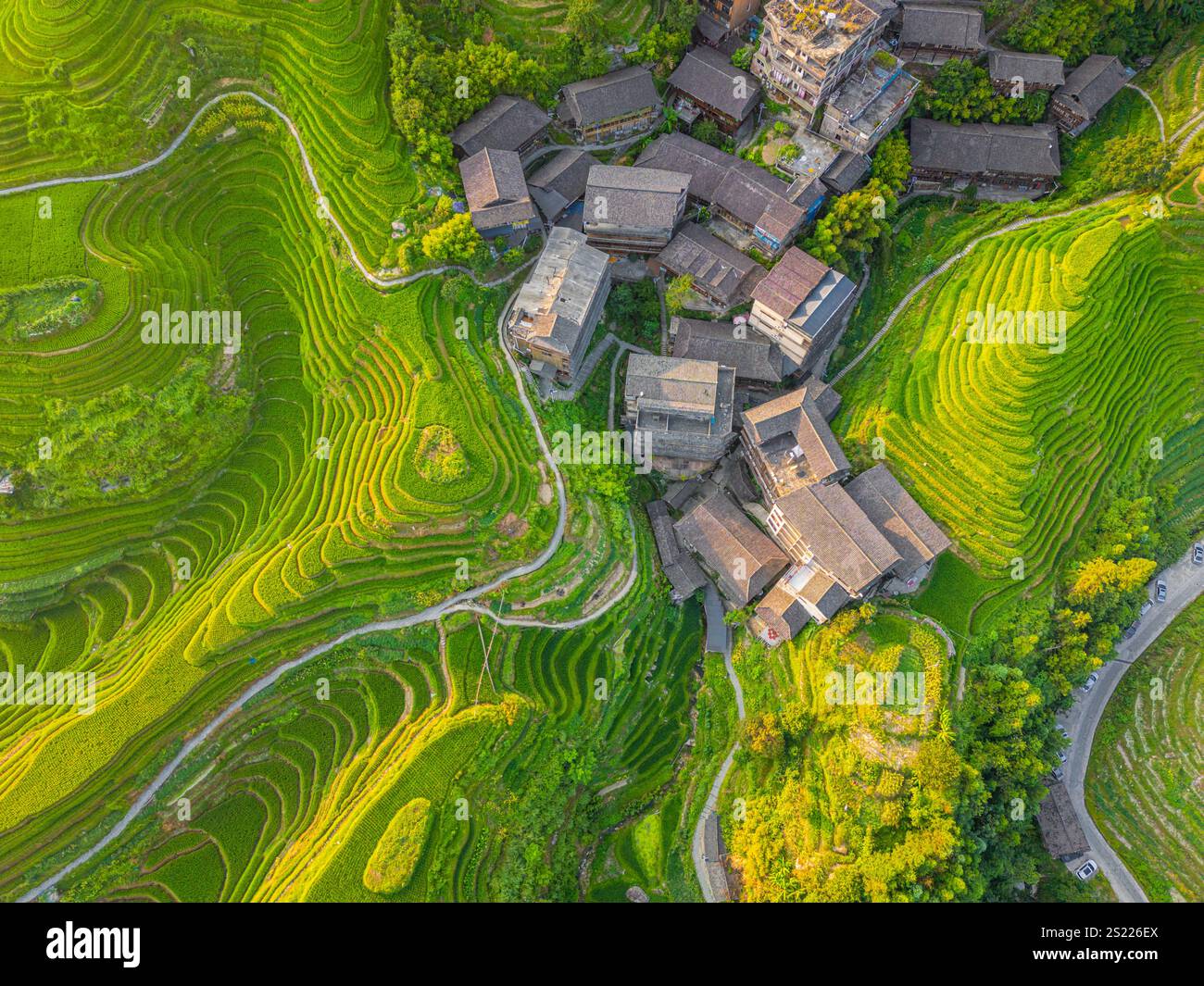 Top drone view of the village houses and Longji rice terraces in ...