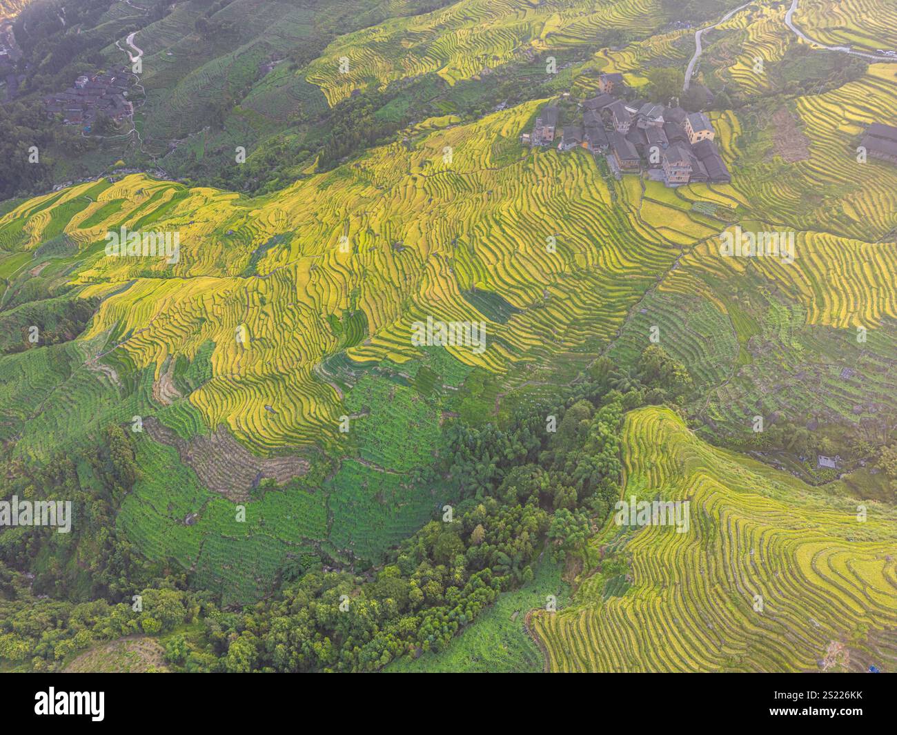 Aerial view of Longji Rice Terraces in China shot from the drone Stock ...