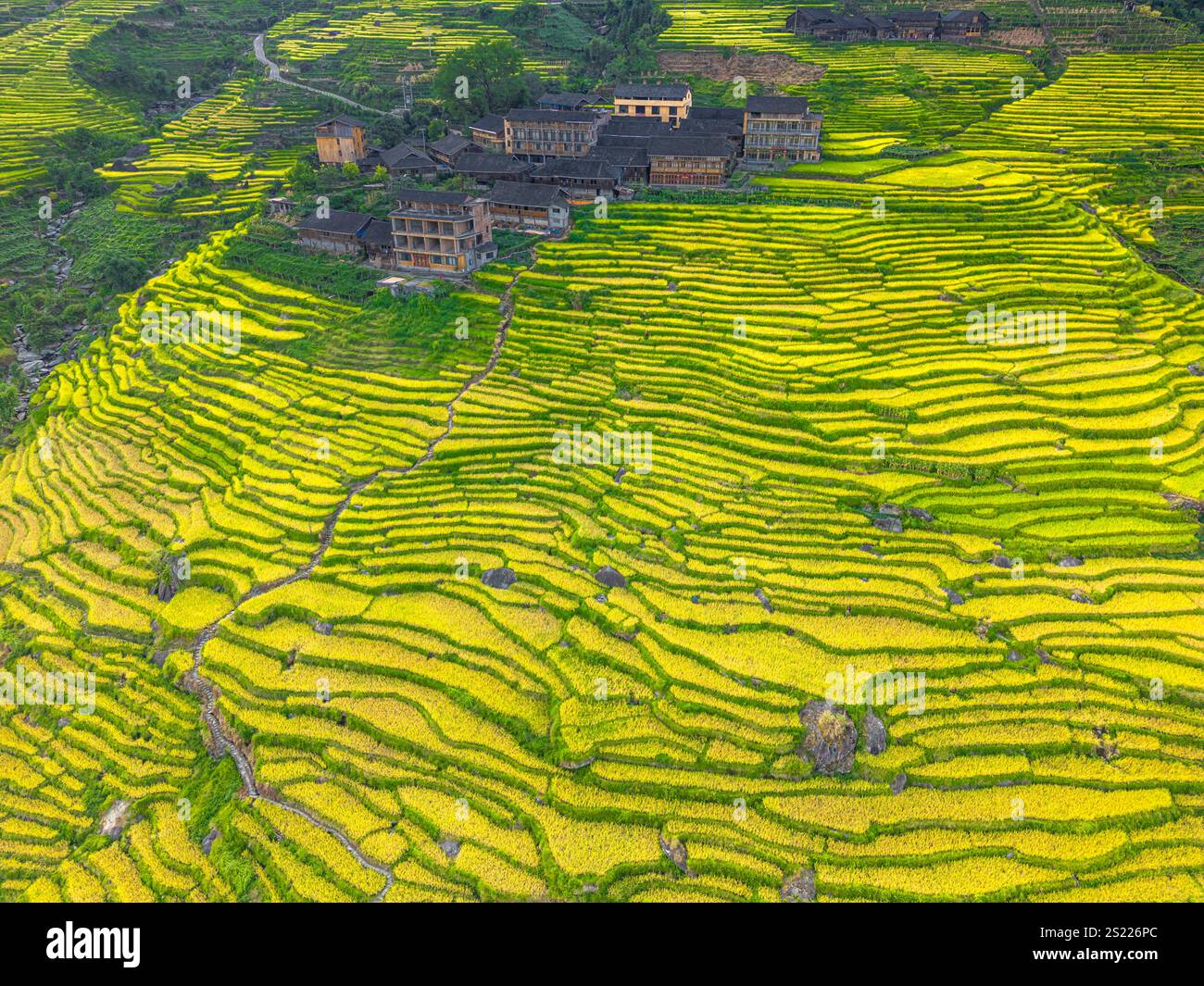 Aerial view of the countryside houses surrounded by yellow and green ...