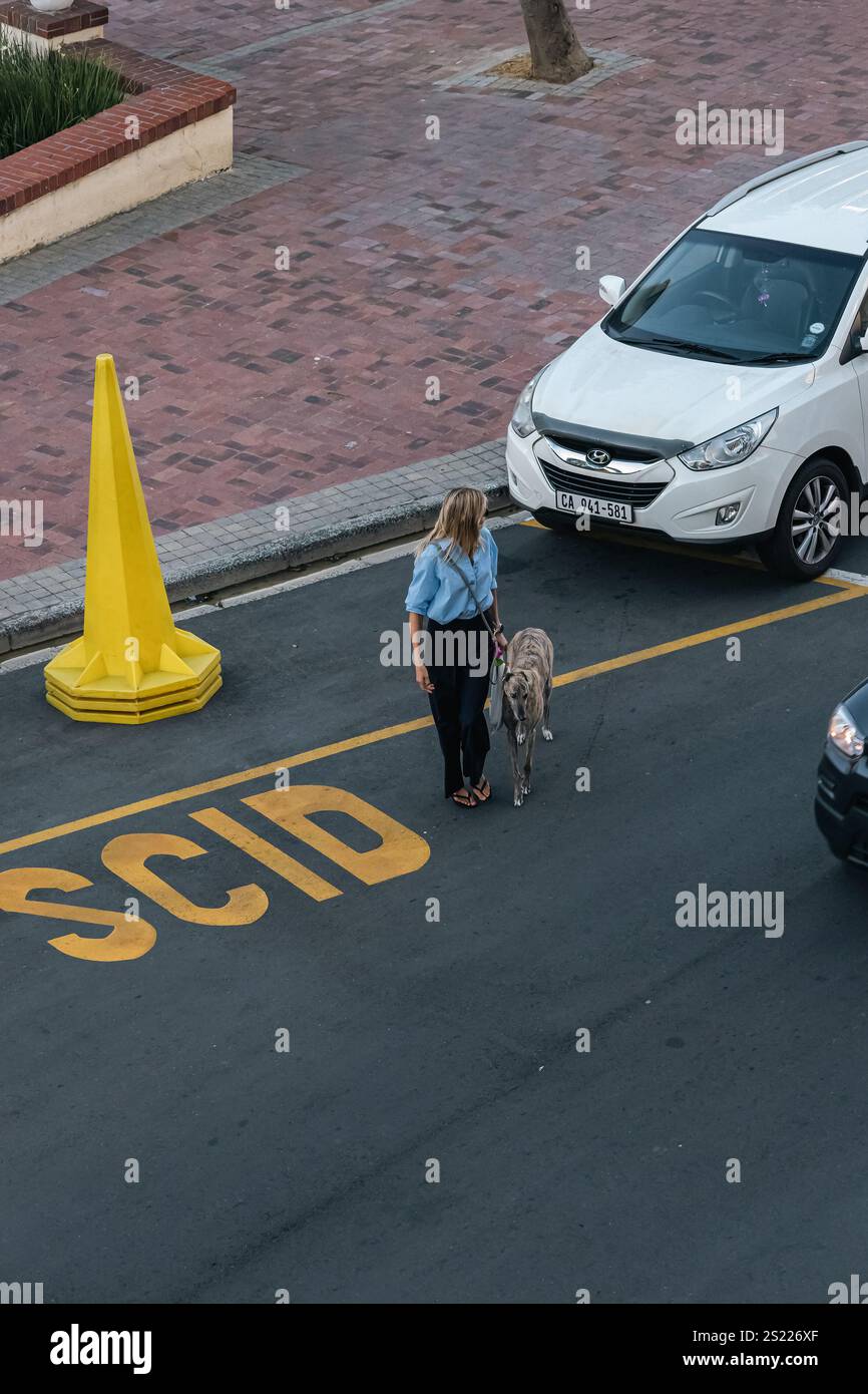 A woman with a dog tries to cross the road in the wrong place. Violation of traffic rules by a ...