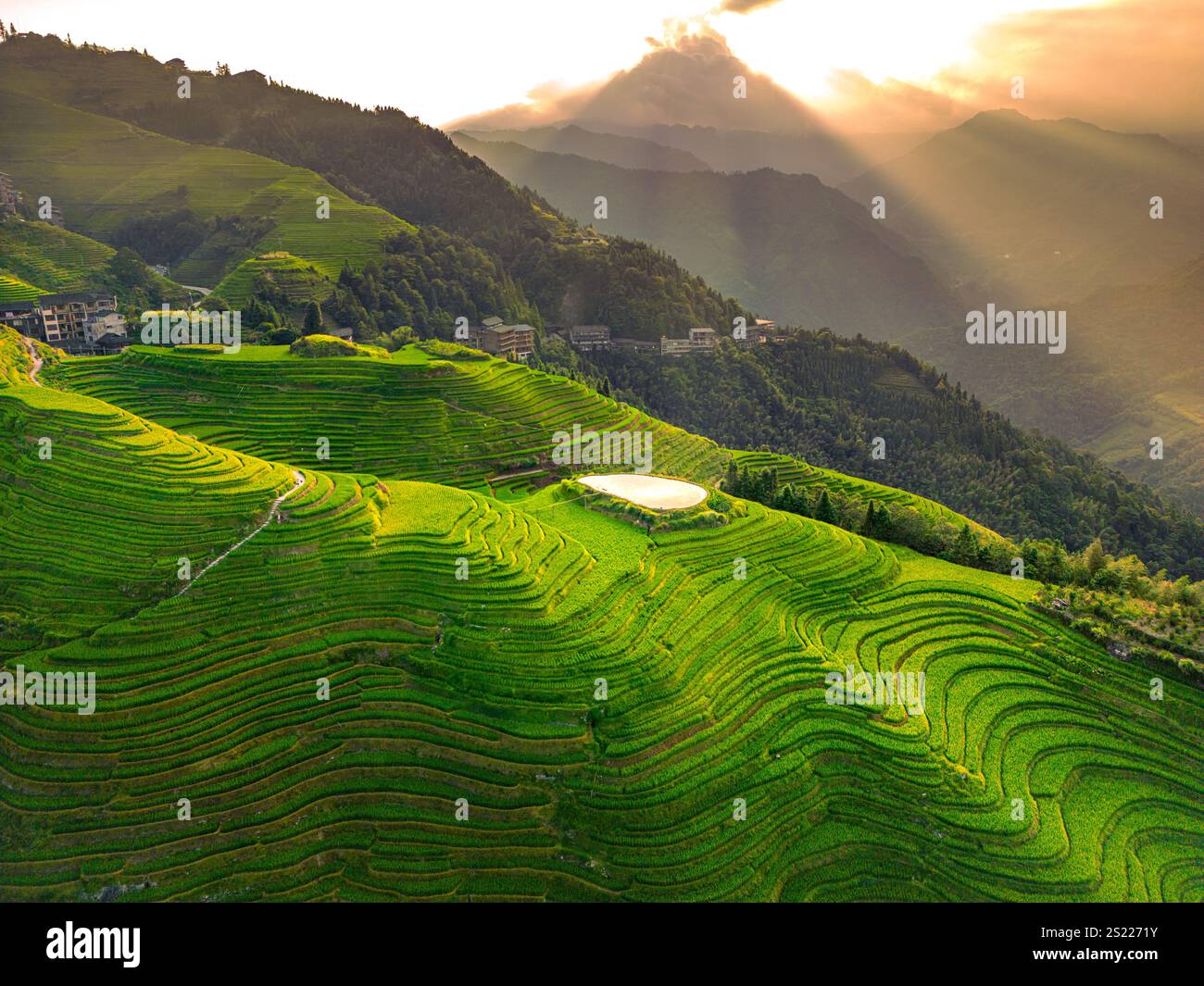 Close up on a paddy fields of the Longji Rice Terraces in China Sunrise ...