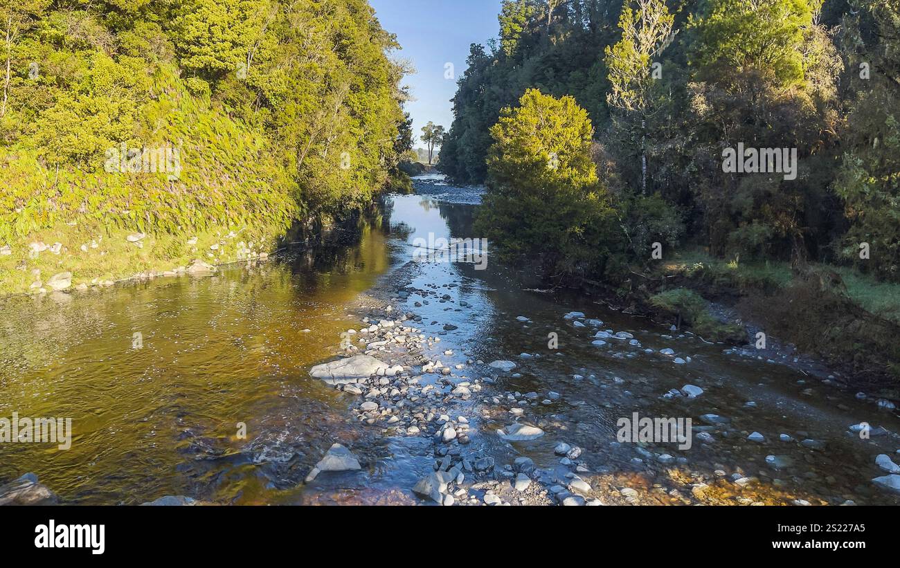 Native forest scenery viewed from the pedestrian walkway around Lake ...