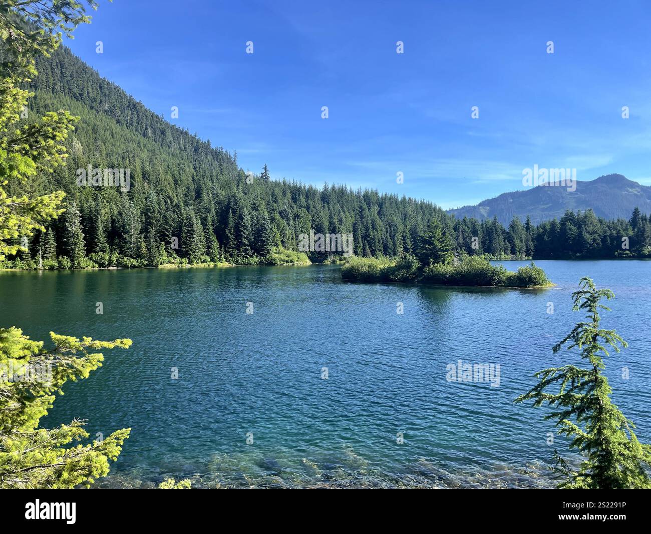 Beautiful Gold Creek Pond Park in WA Stock Photo - Alamy
