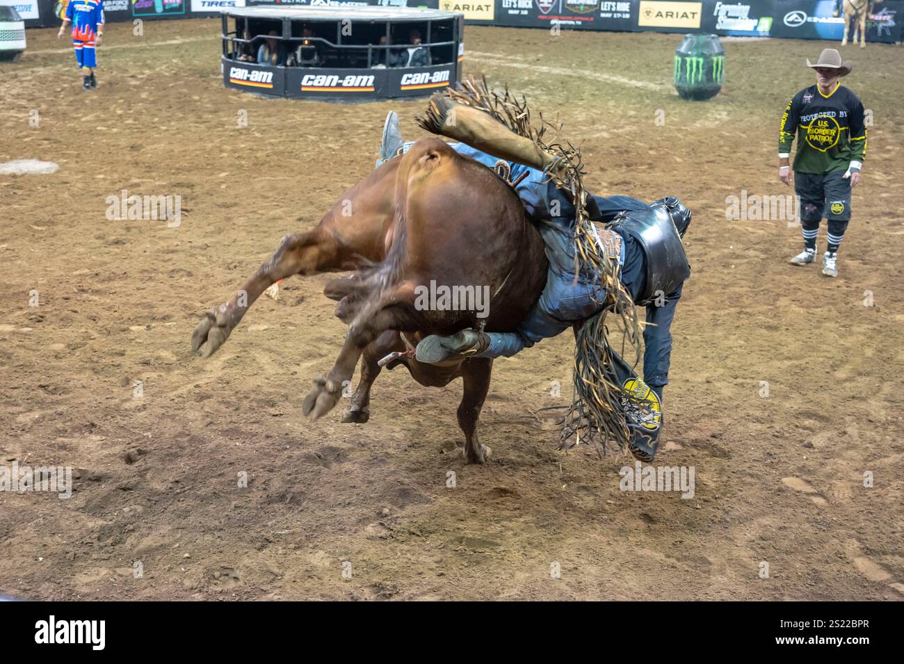 NEW YORK, NEW YORK - JANUARY 05: Sandro Batista rides Lansky during ...