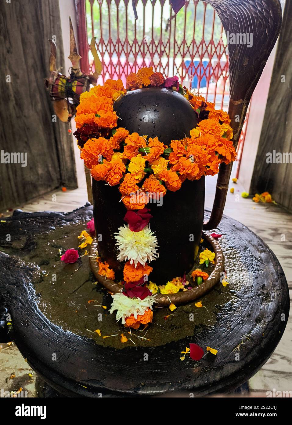 Rock Shiva Linga(shrine) of in the temple lord Shiva. Decorated with ...