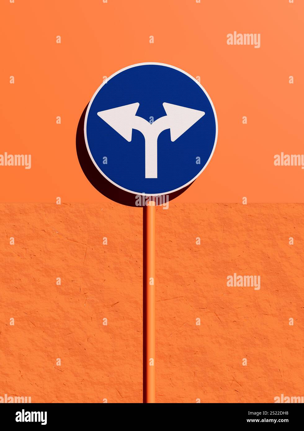 Blue and white road sign showing left and right directions, suggesting ...