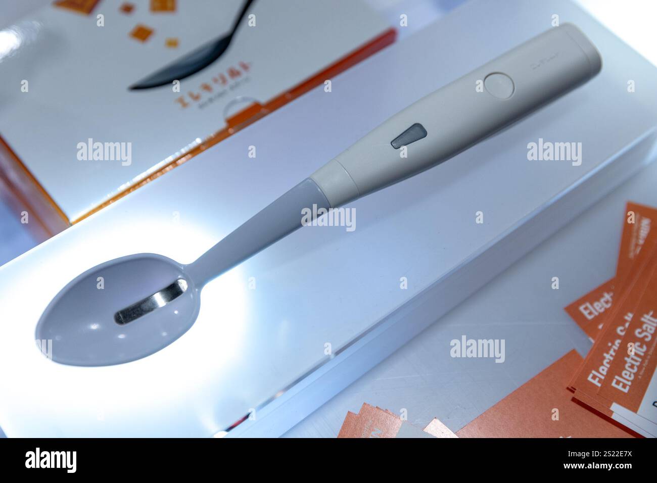 Las Vegas, USA. 05th Jan, 2025. The Electric Salt Spoon, by Kirin ...