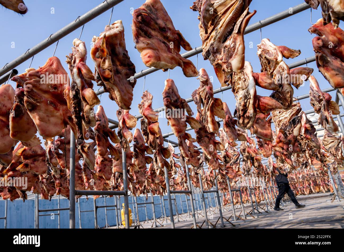 Strings of cured meat are dried in the sun in Jinhua City, east China's ...