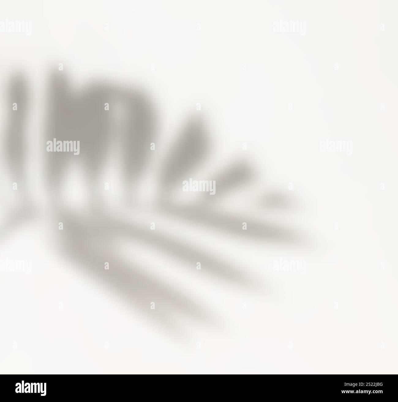 Minimal Blurred Tropical Palm Shadow Overlay for Aesthetic Backgrounds ...