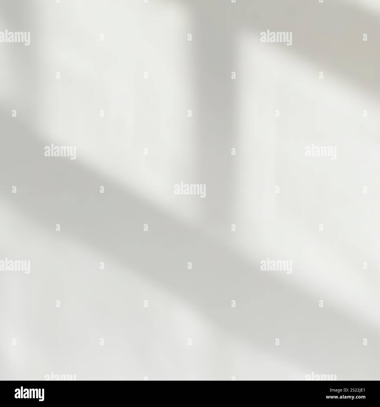 Soft Window Light Shadow Overlay for Photography, Branding, and Social ...