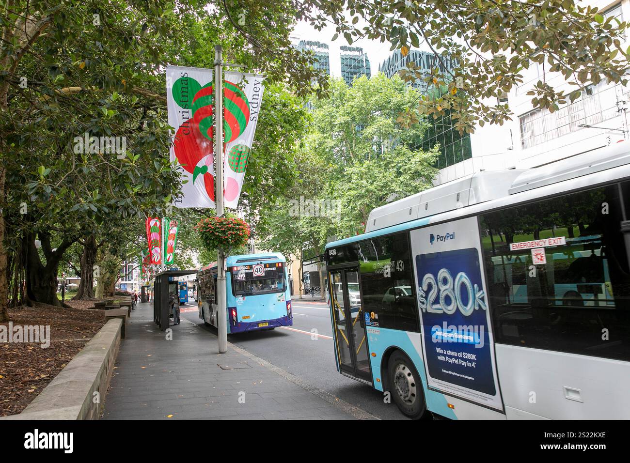 Sydney buses bus on Elizabeth sgtreetin Sydney city centre with council ...