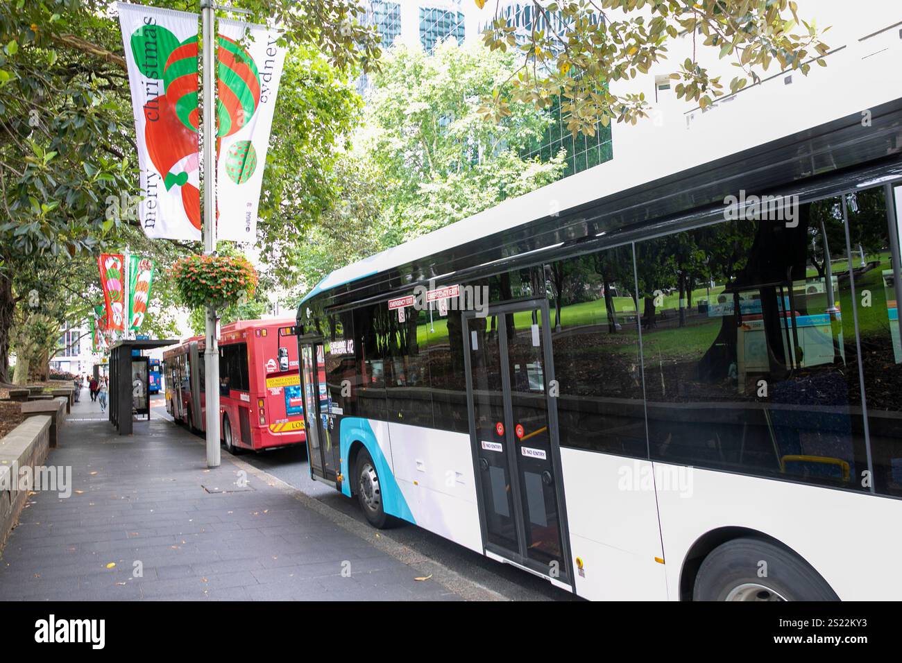 Sydney buses bus on Elizabeth sgtreetin Sydney city centre with council ...