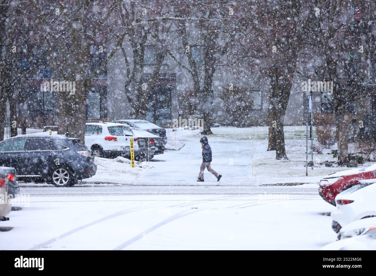 The Cold Spell Hits Across Quebec A person walks in the middle of a ...