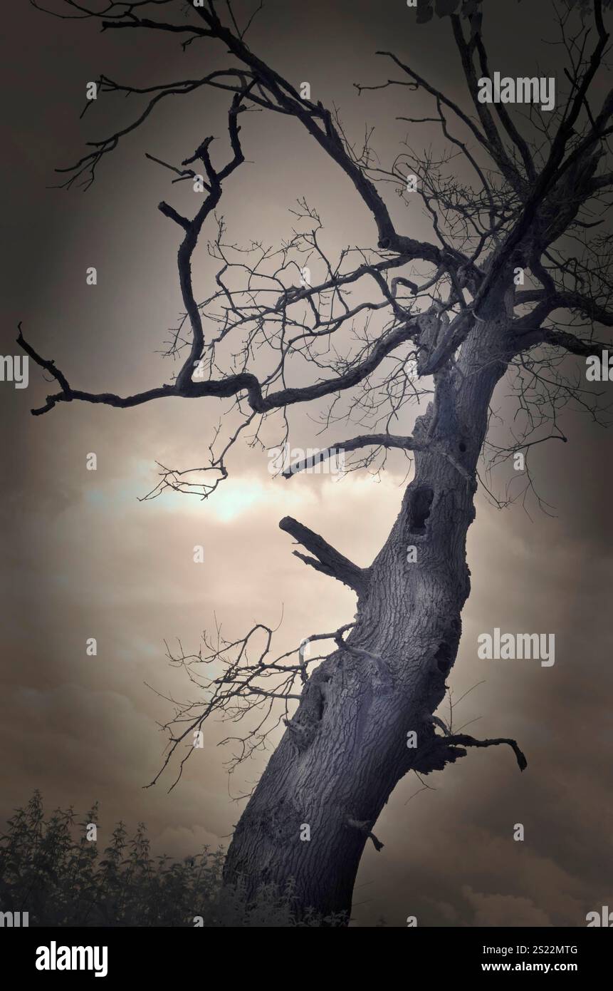 Dull objects hi-res stock photography and images - Alamy