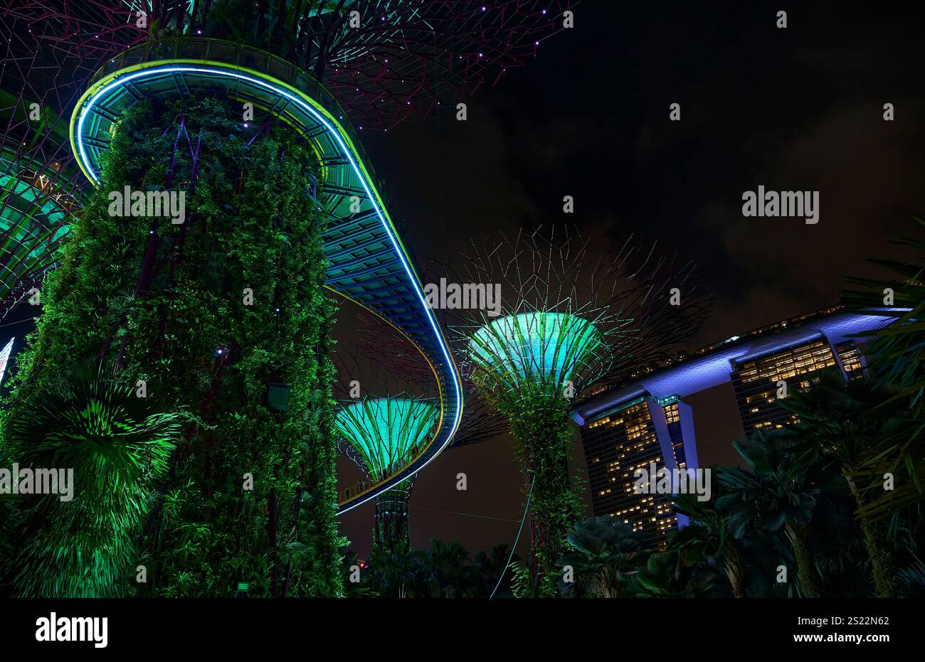 Futuristic elevated walkway winding through illuminated supertrees and ...