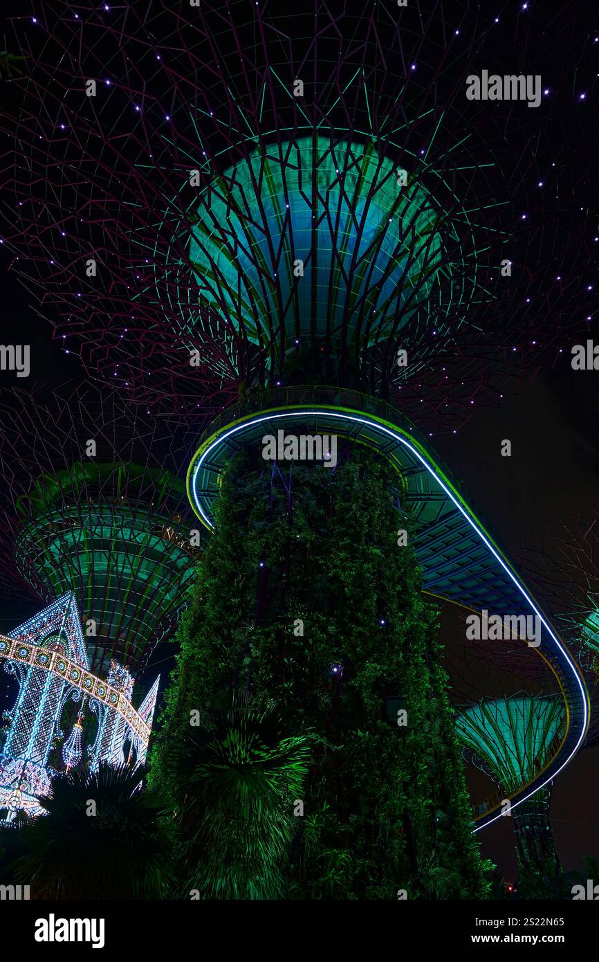 Gardens by the bay supertree grove glowing at night with colorful ...