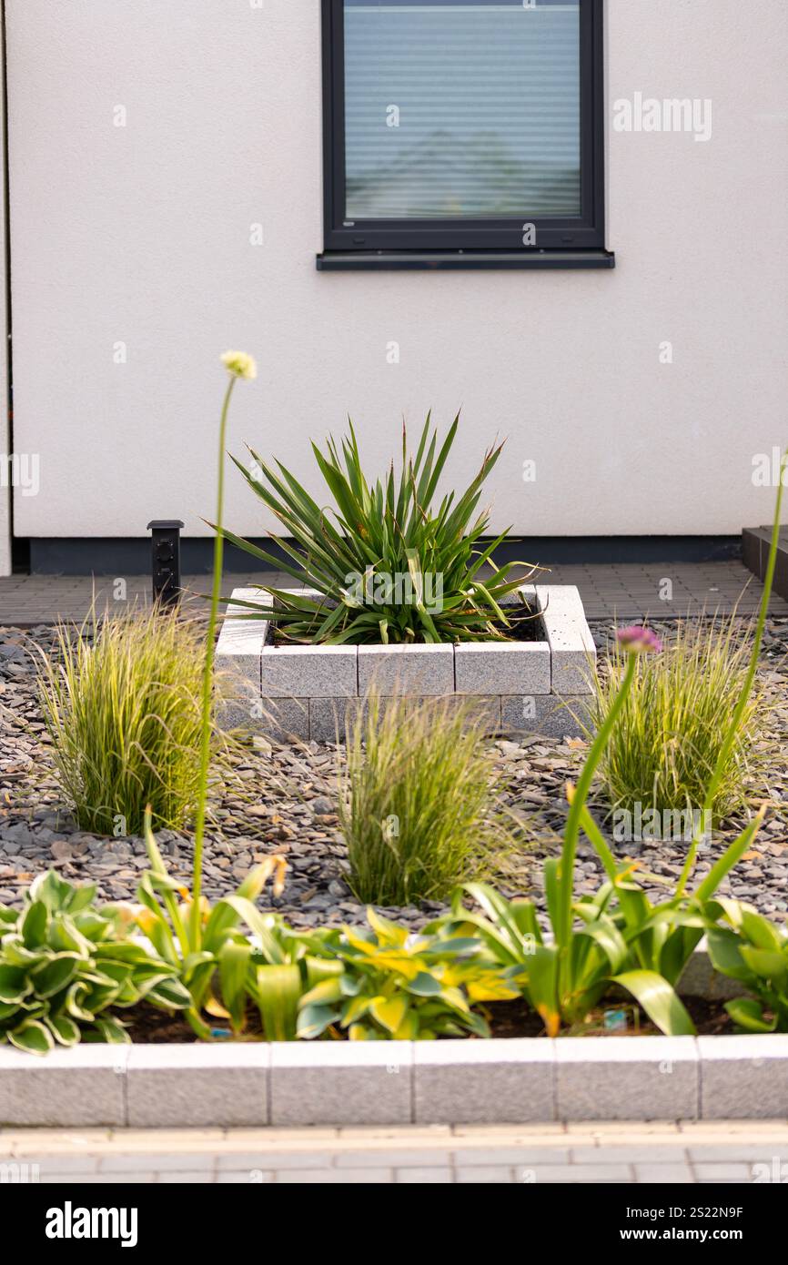 Natural stone raised bed with a Yuccas in the slate garden. High ...