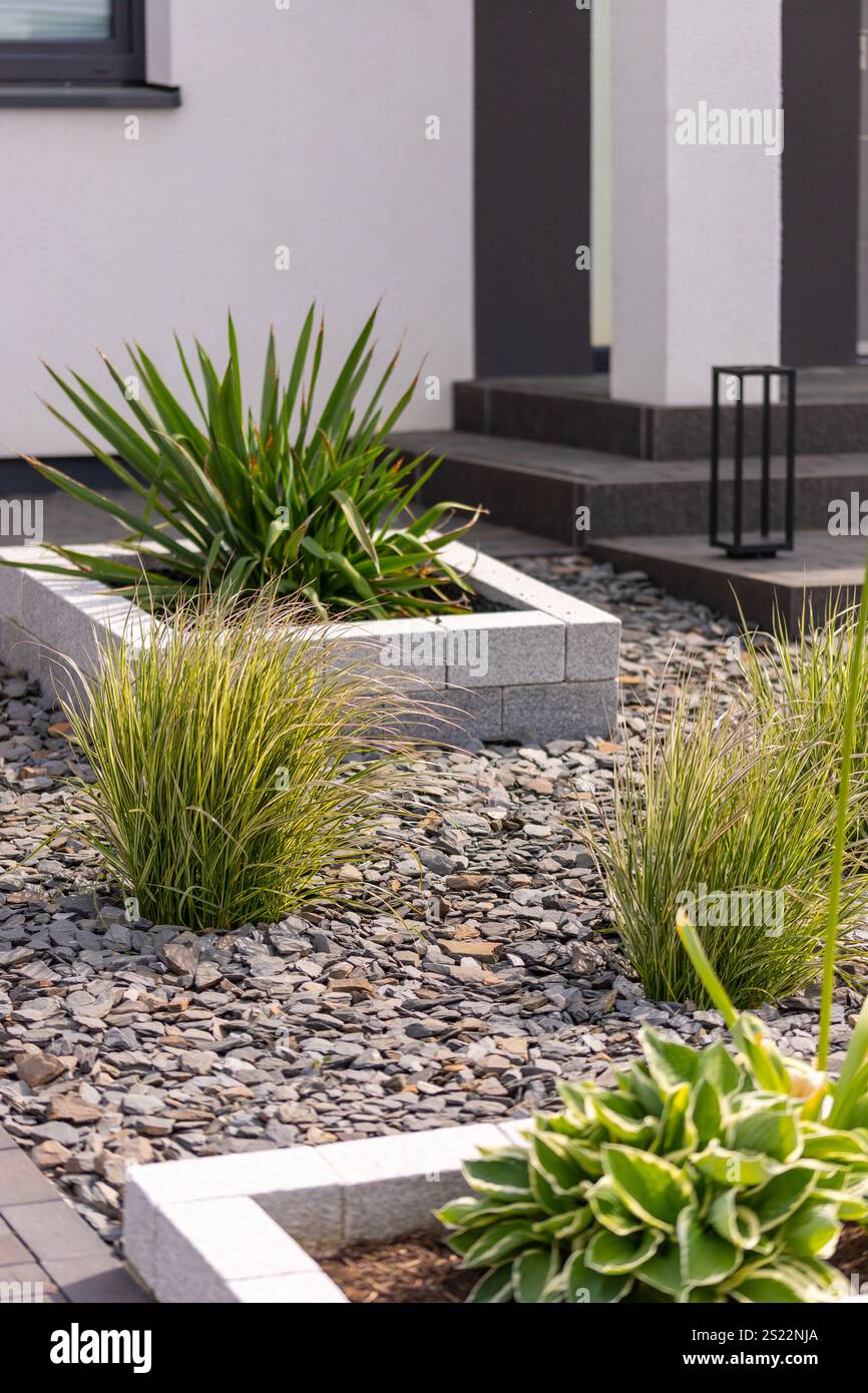 White Naturalstone raised bed with a Yuccas in the slate garden Stock ...