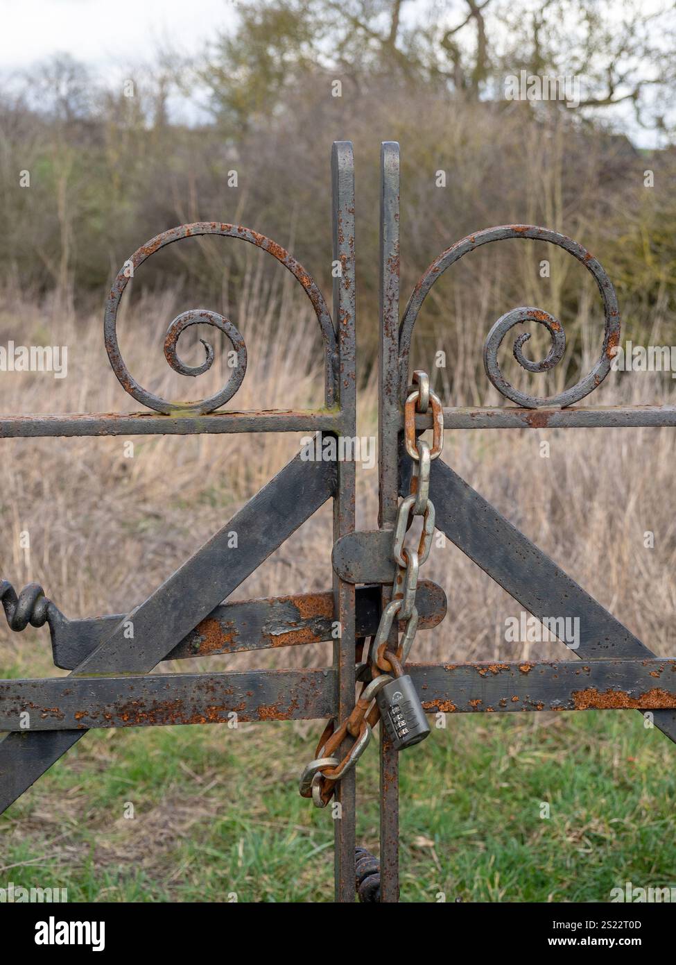 Ornate rusting metal gate secured by a padlock and chain, UK Stock ...