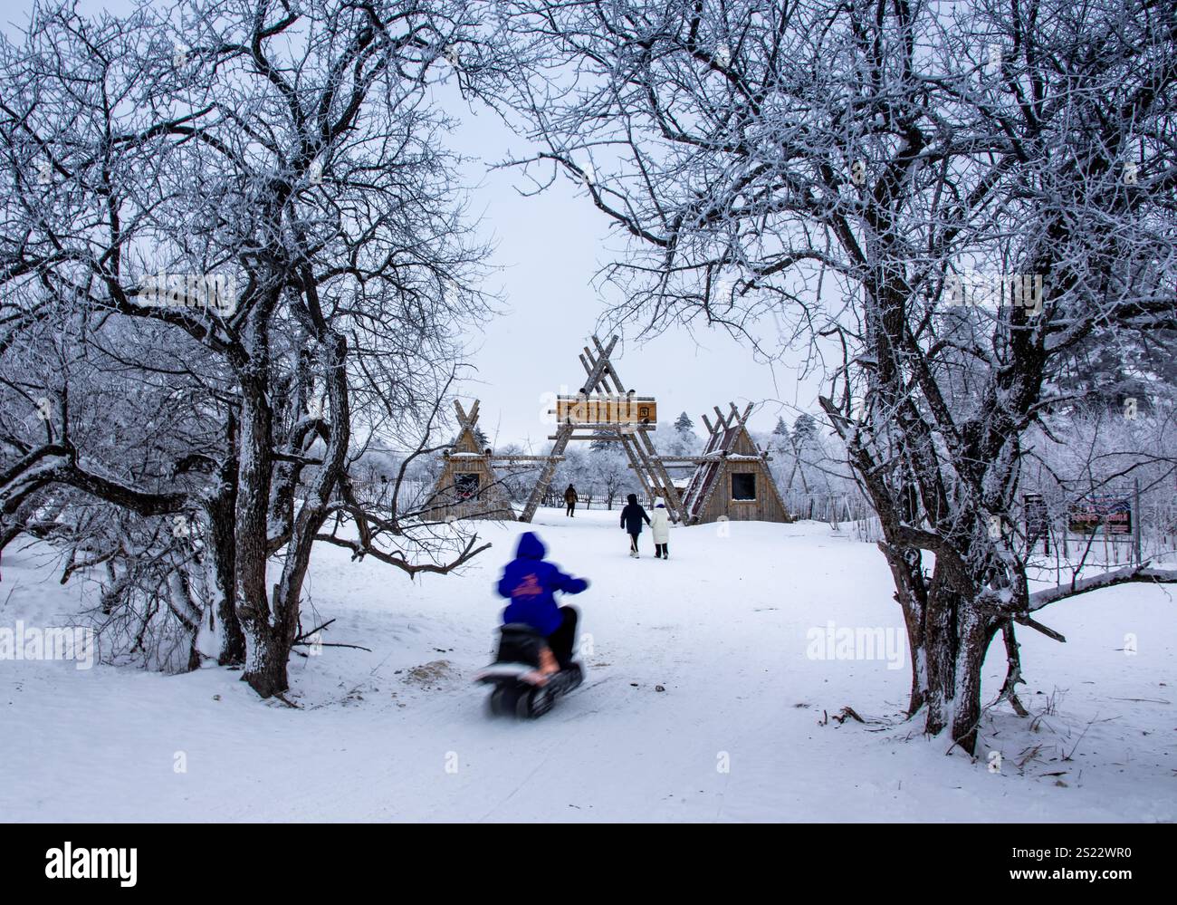 Snow scenery of Xianfeng National Forest Park attracts tourists in ...
