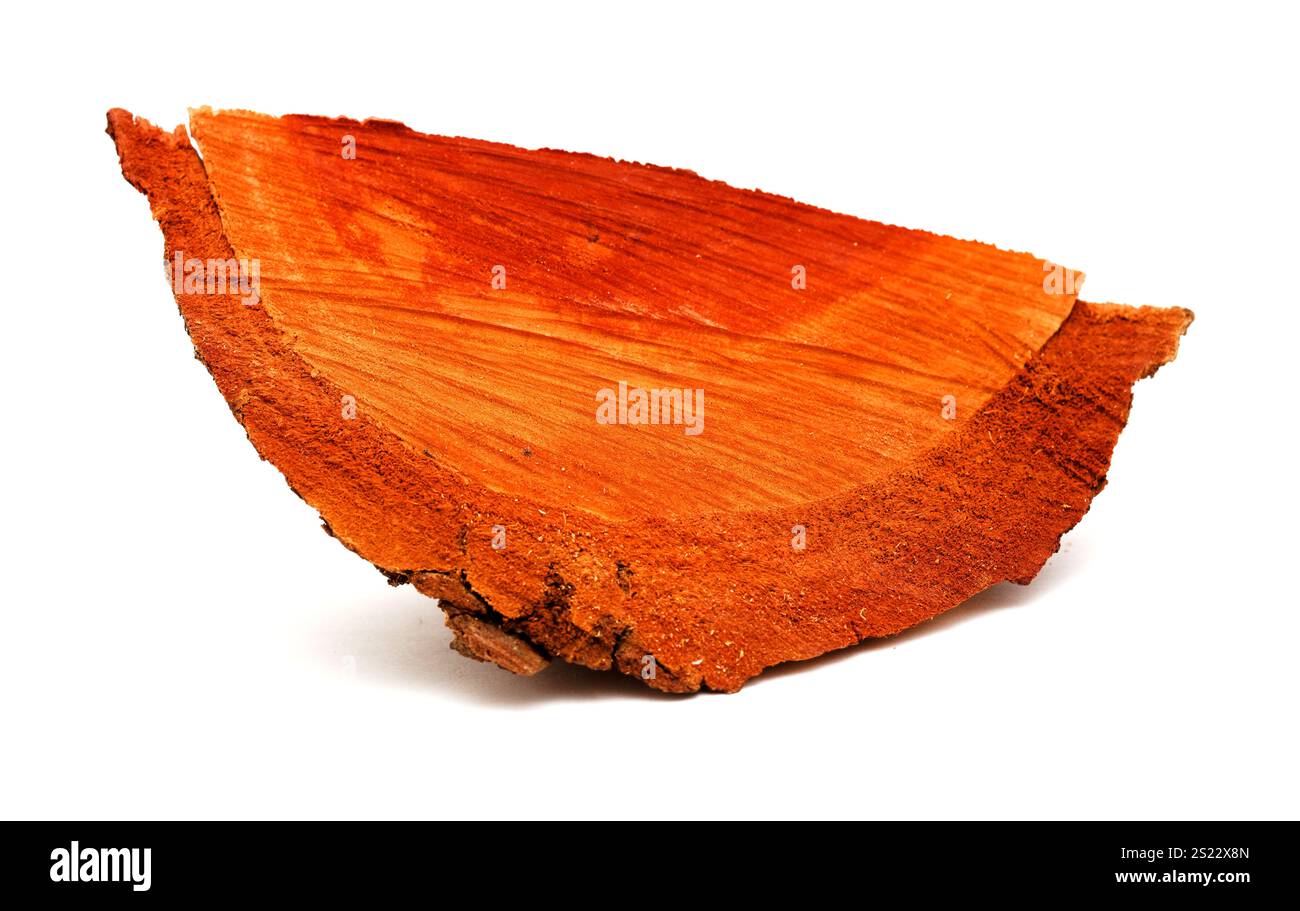 Trunks of eucalyptus Cut Out Stock Images & Pictures - Alamy