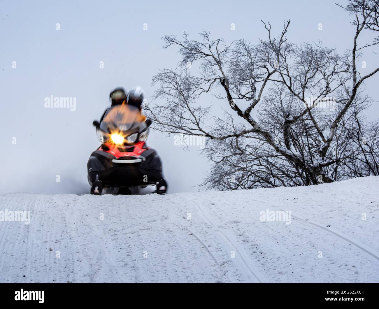 Snow scenery of Xianfeng National Forest Park attracts tourists in ...