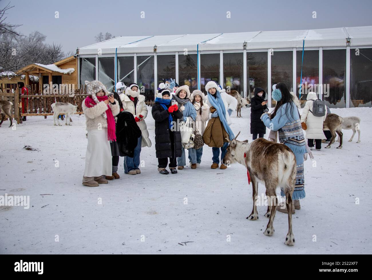 Snow scenery of Xianfeng National Forest Park attracts tourists in ...