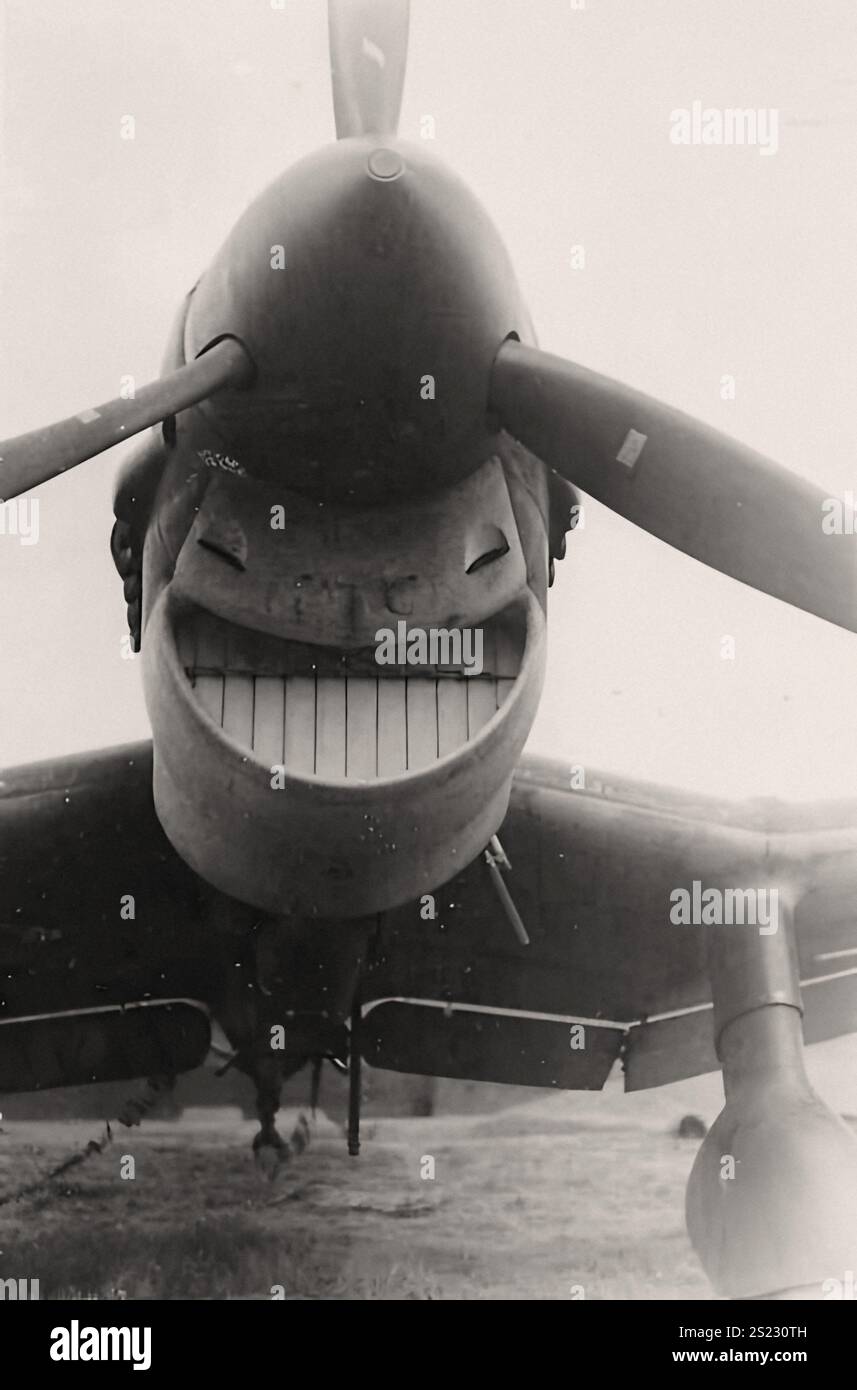 Junkers Ju 87B front view. - Historical document, photographer unknow ...
