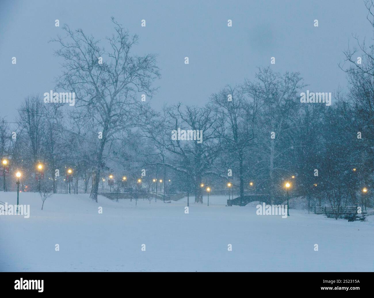 Snow covers Dunn Meadow during a major winter storm in Bloomington ...