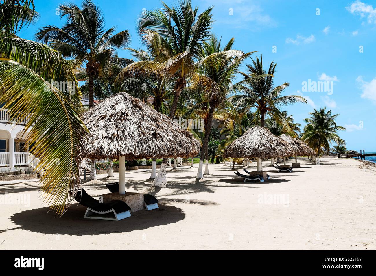 thatch roofs at the beach in Belize Stock Photo - Alamy