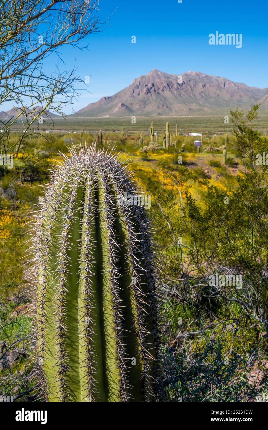 An overlooking view of Picacho Peak SP, Arizona Stock Photo - Alamy