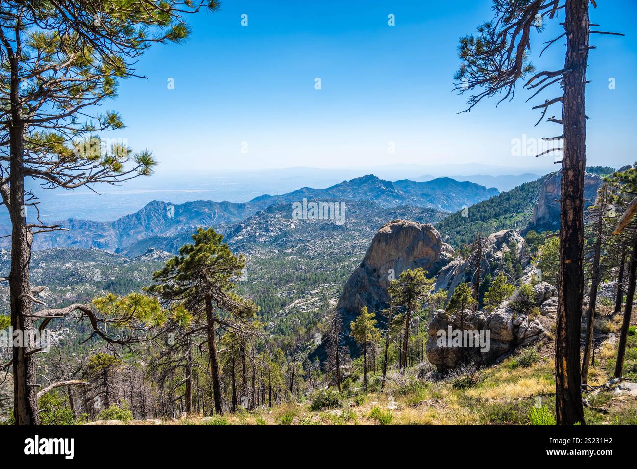 An overlooking view of Tucson, Arizona Stock Photo - Alamy