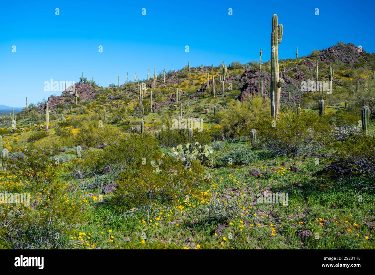 An overlooking view of Picacho Peak SP, Arizona Stock Photo - Alamy