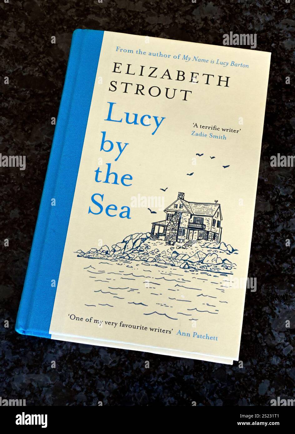 Book cover. "Lucy by the Sea" by Elizabeth Strout Stock Photo - Alamy