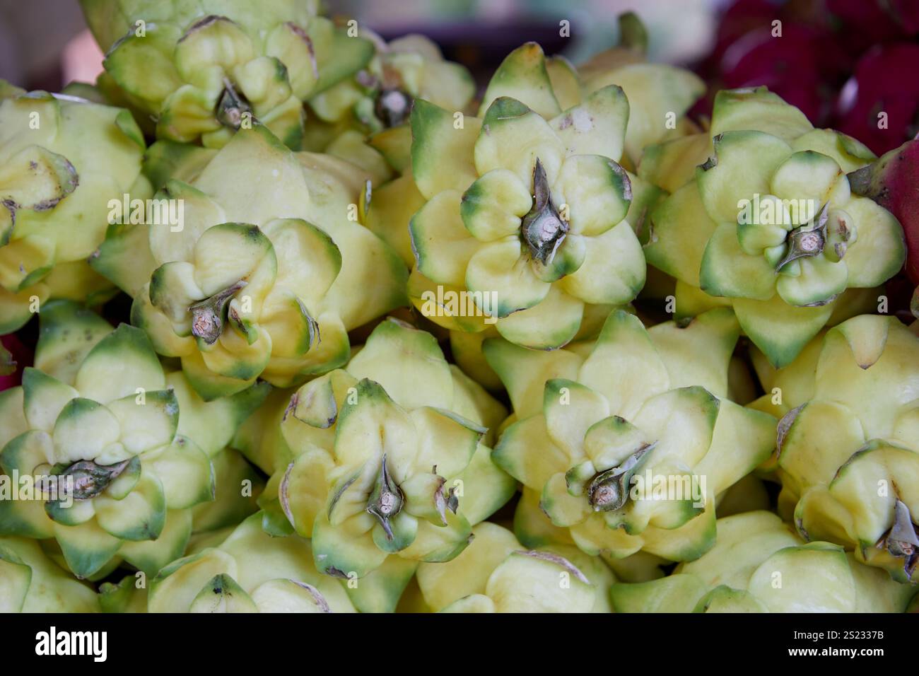 Close-up of yellow Pitaya in market Stock Photo - Alamy