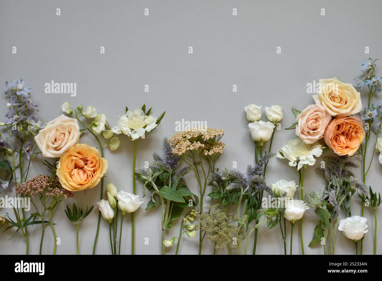 Paster colors hi-res stock photography and images - Alamy