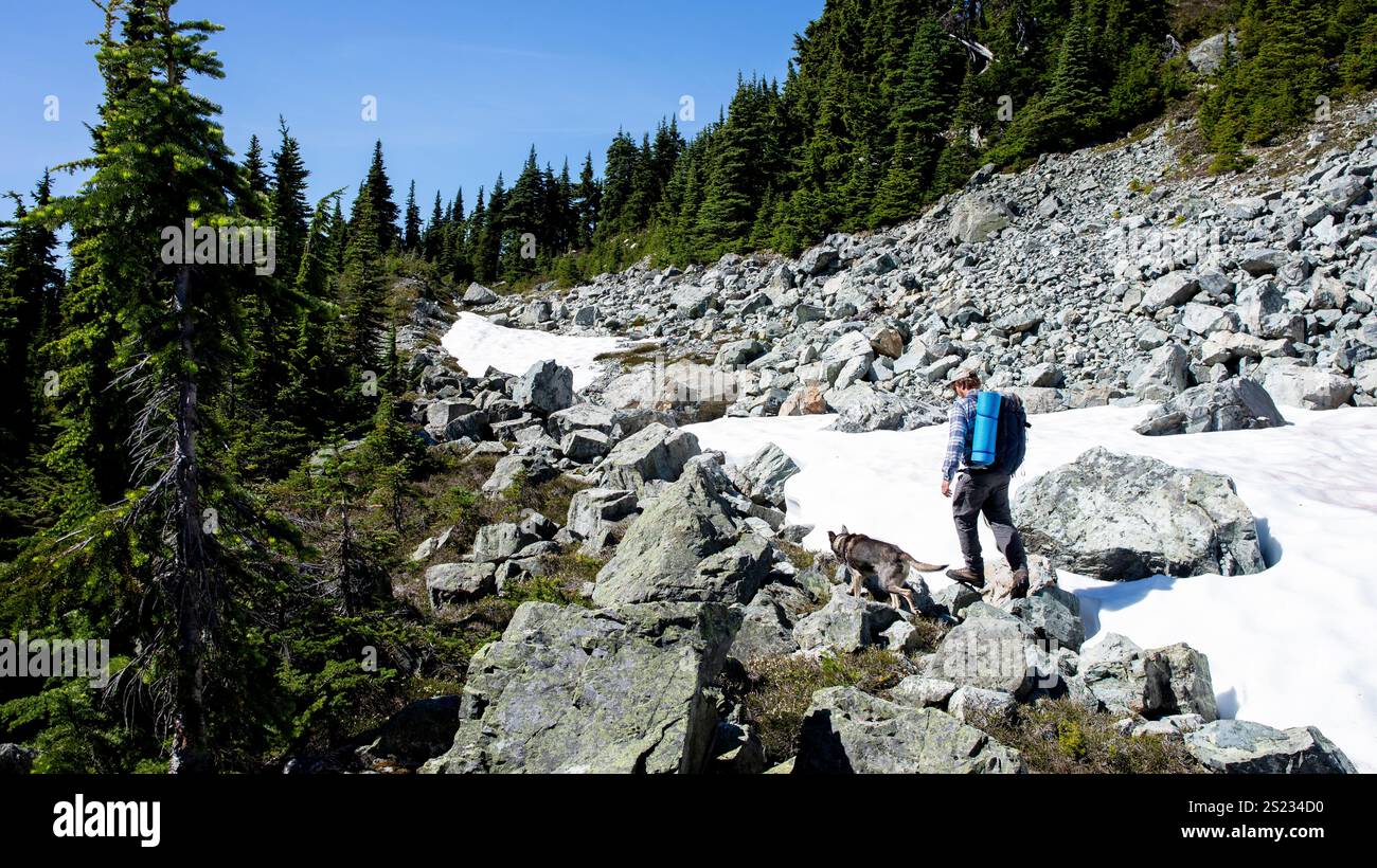 Backpacker Exploring a Remote Trail Surrounded by Lush Greenery Stock ...