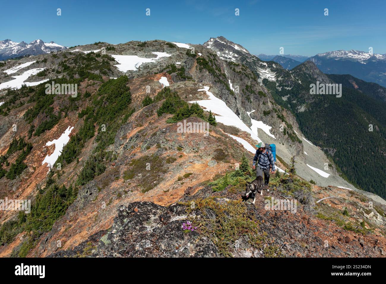 Solo hiker treks along rocky mountain ridge top with dog Stock Photo ...