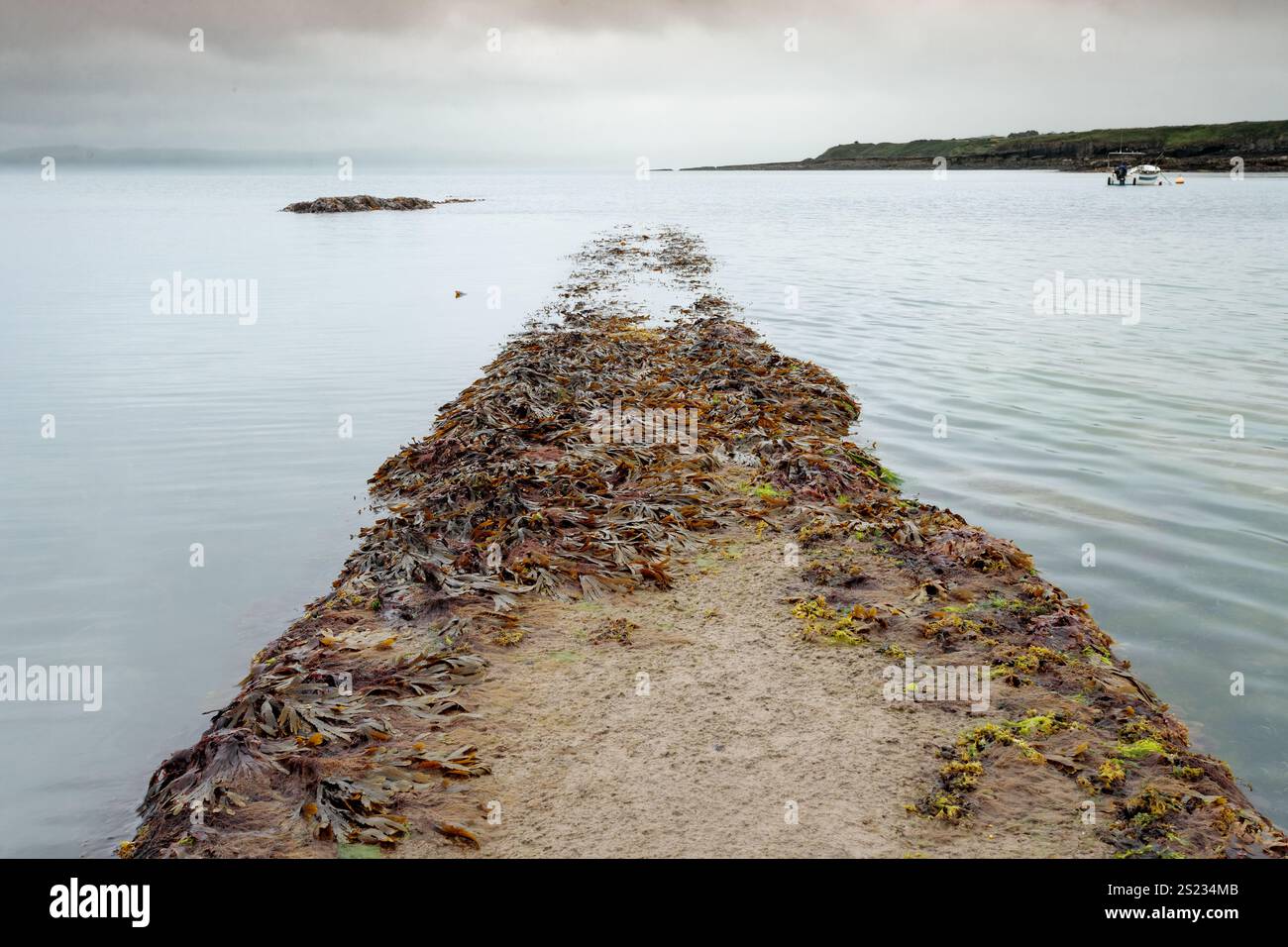 Jetty with seaweed at Moelfre, Anglesey, North Wales Stock Photo - Alamy