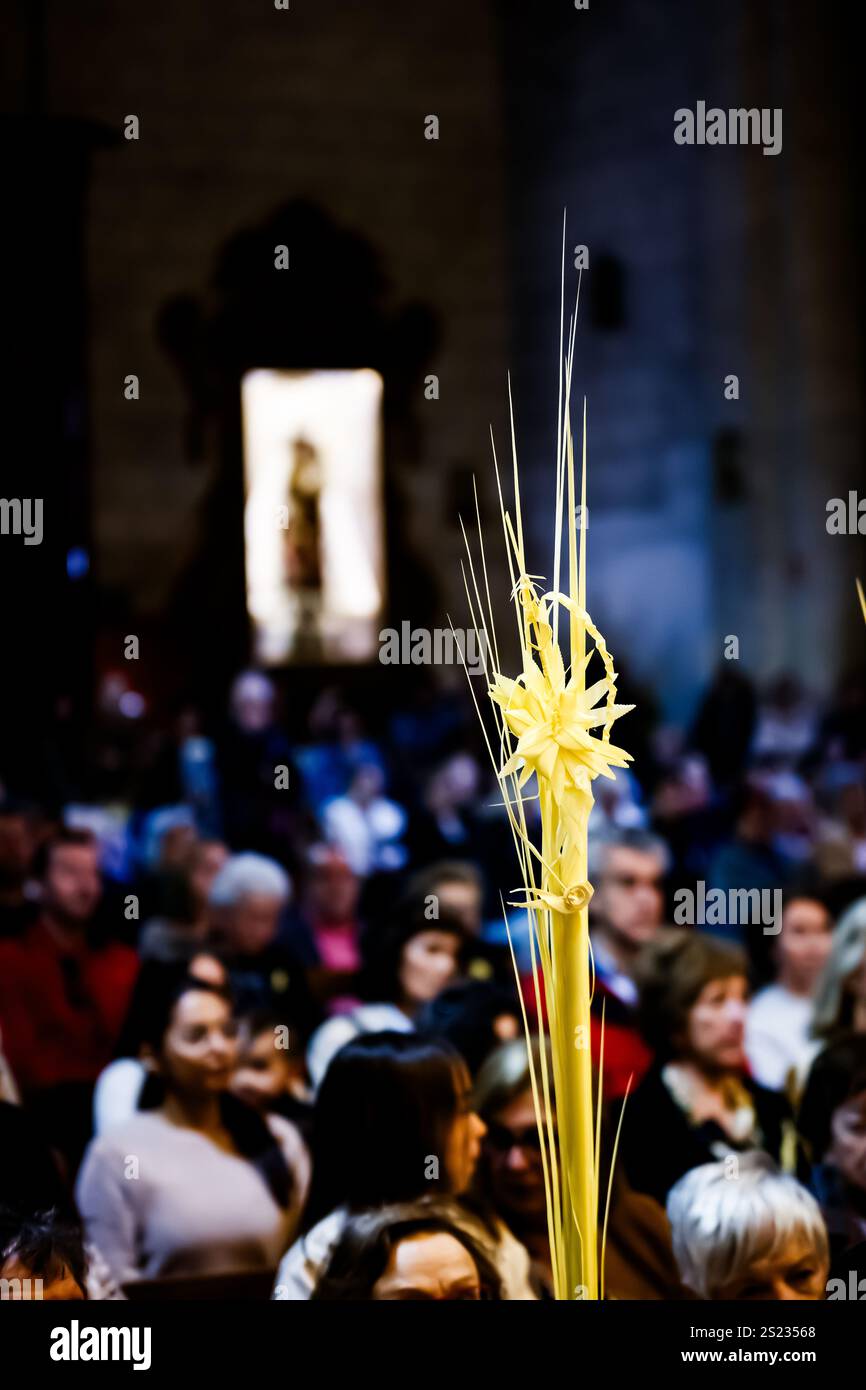 Palm inside the church on Palm Sunday in Villajoyosa Stock Photo - Alamy