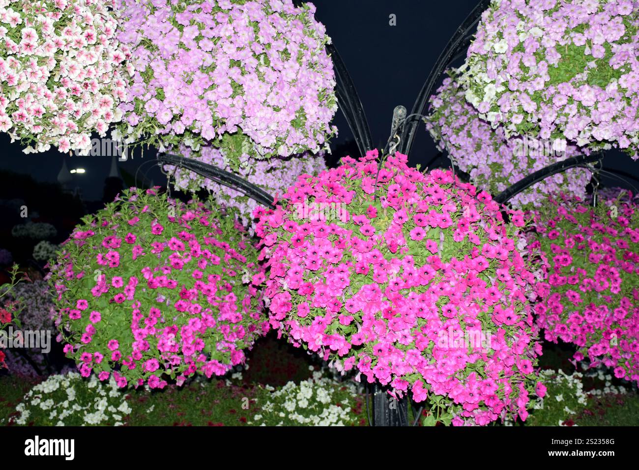 Vibrant blooms, stunning flower displays, and a colorful oasis at Dubai ...