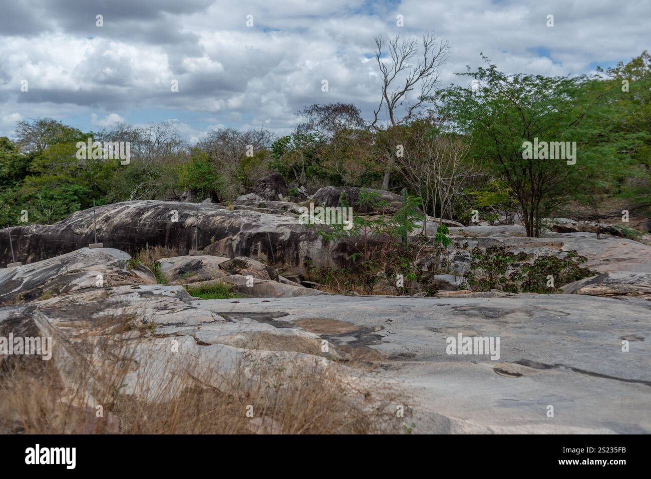 Ingá Stone- Photos of Brazil’s Most Famous Archaeological Site Stock ...