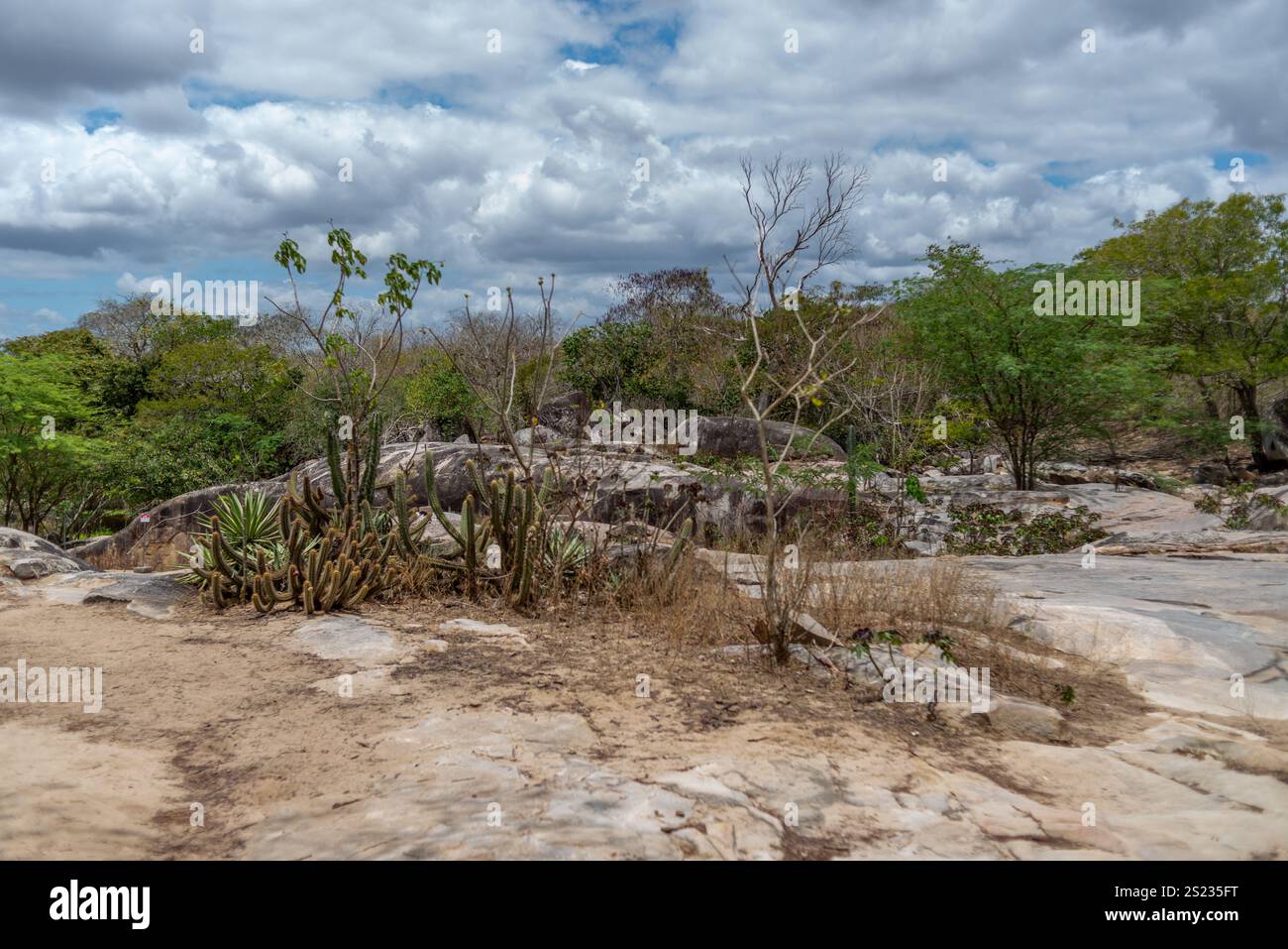 Ingá Stone- Photos of Brazil’s Most Famous Archaeological Site Stock ...