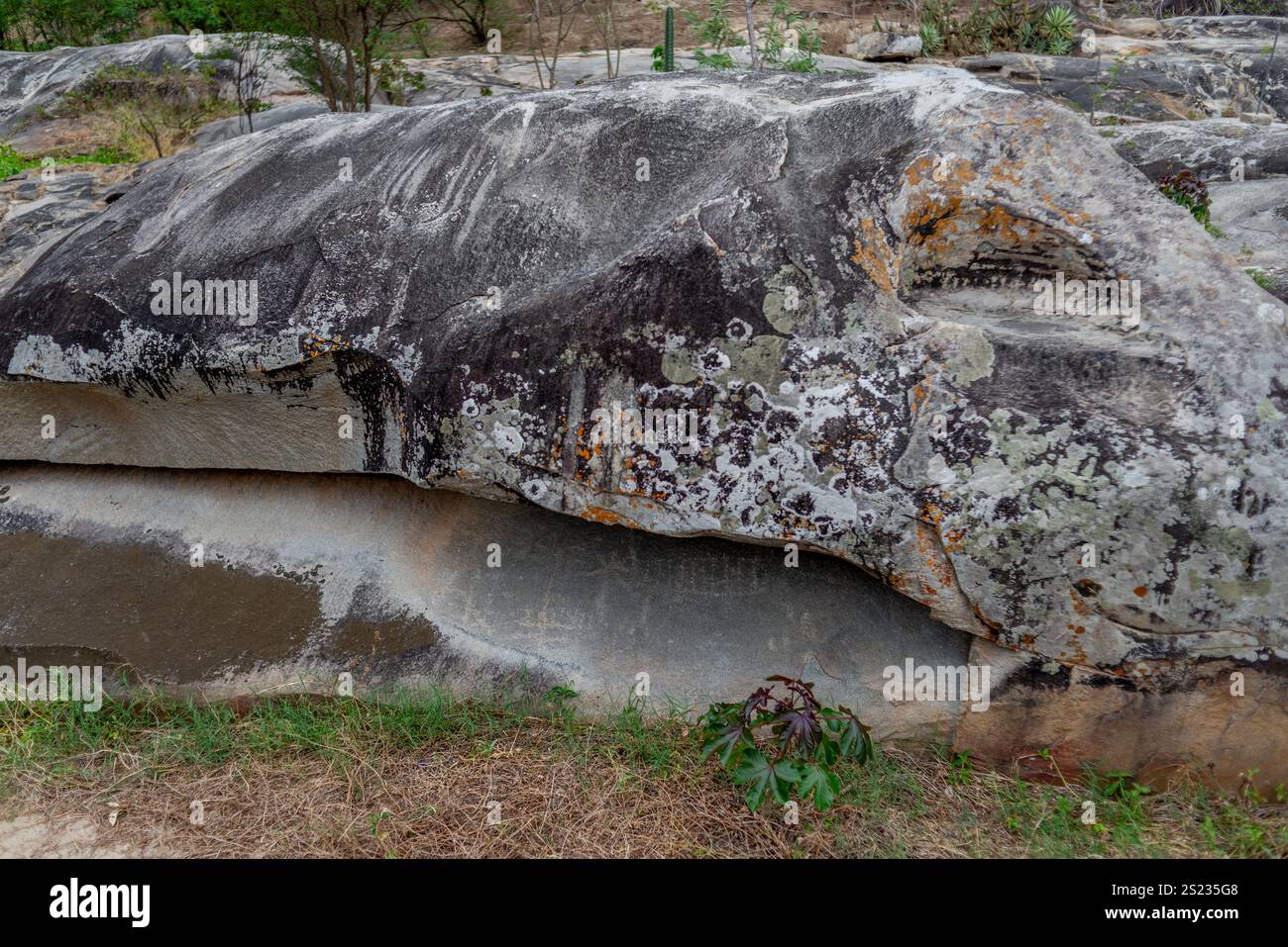 Ingá Stone- Photos of Brazil’s Most Famous Archaeological Site Stock ...