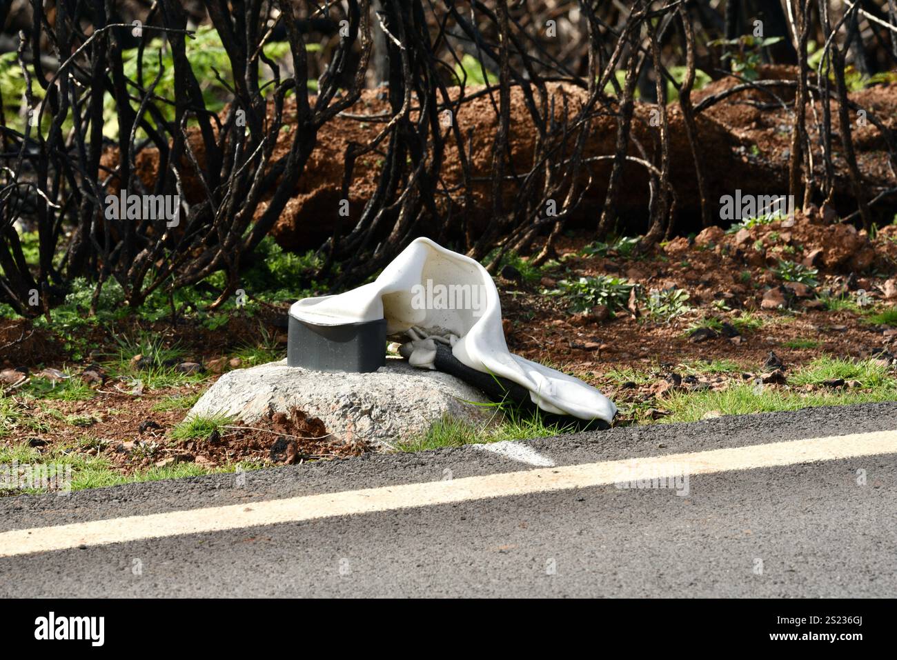 Melted and deformed plastic roadside marker posts with burnt trees and ...