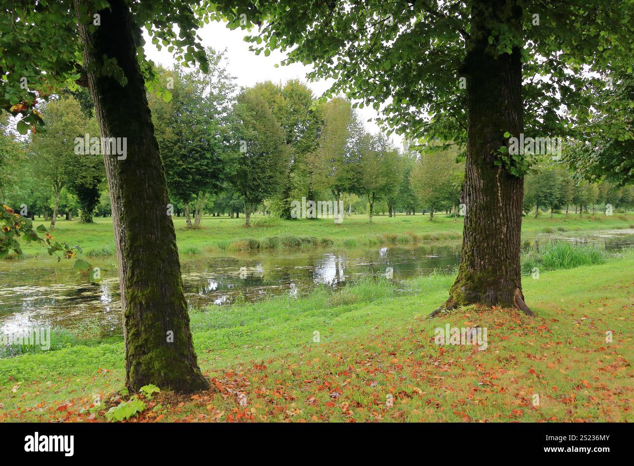 small water moat in france Stock Photo - Alamy