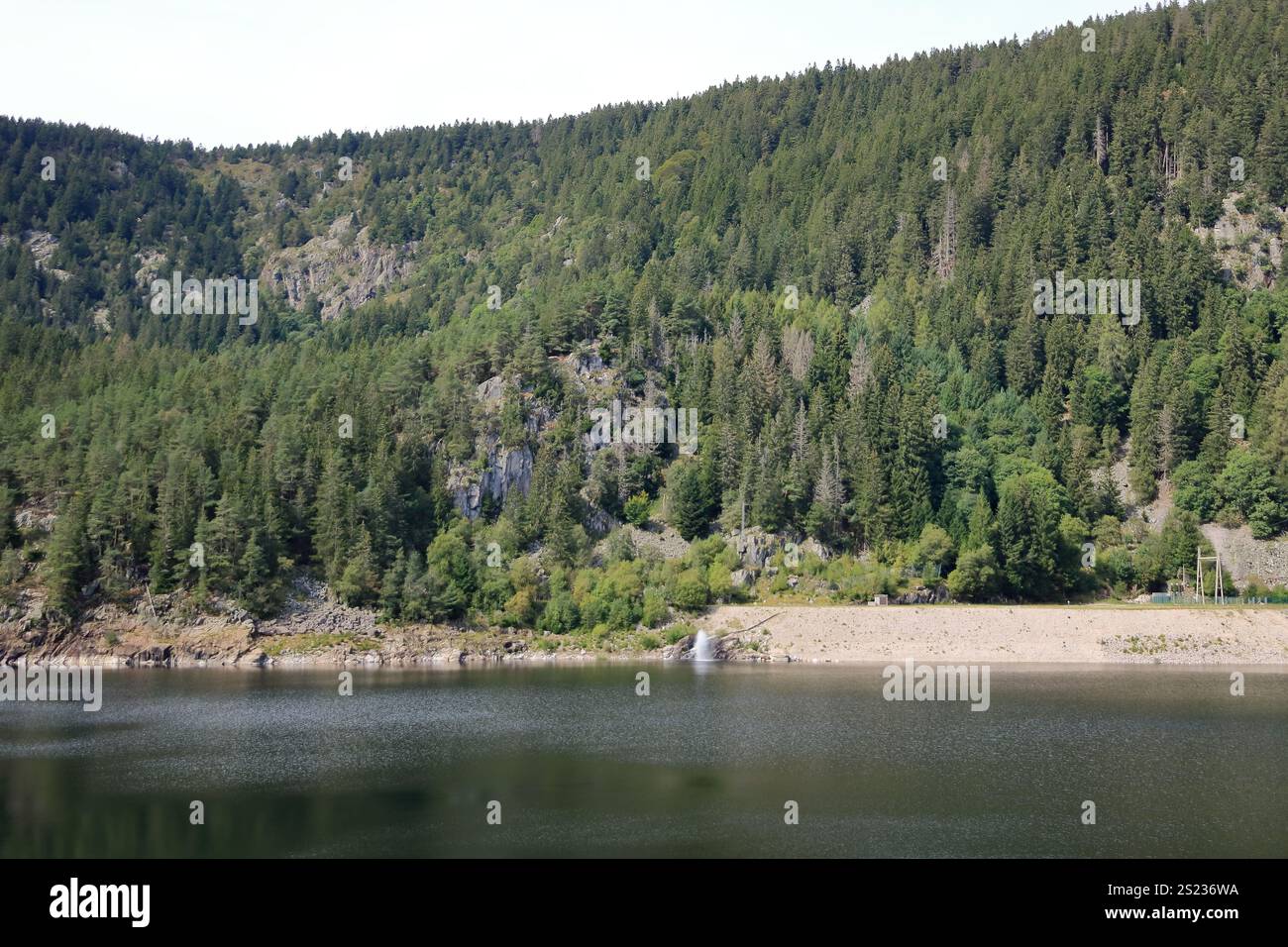 the black lake in the Vosges Lac Noir, Colmar in France Stock Photo - Alamy